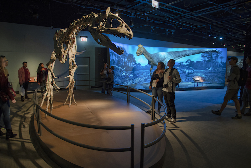 Dinosaur delight: Curator Peter Makovicky describes the Field Museum’s ...